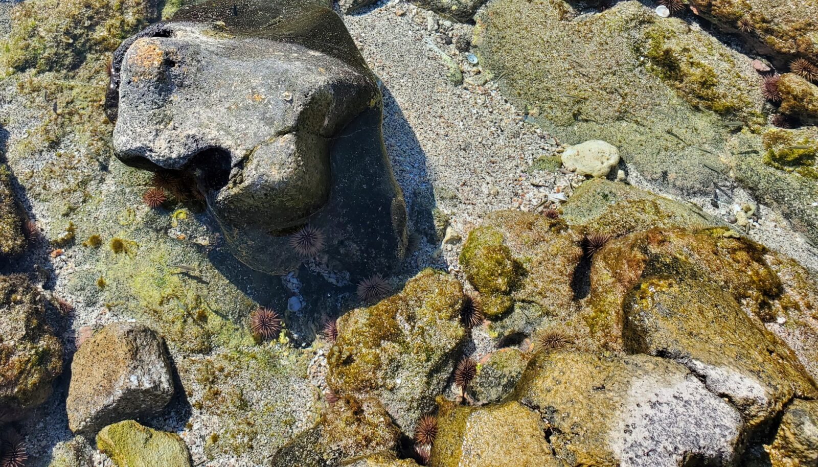 Alii Saltwater Swimming Pool, Kailua-Kona - Hawaii Beaches