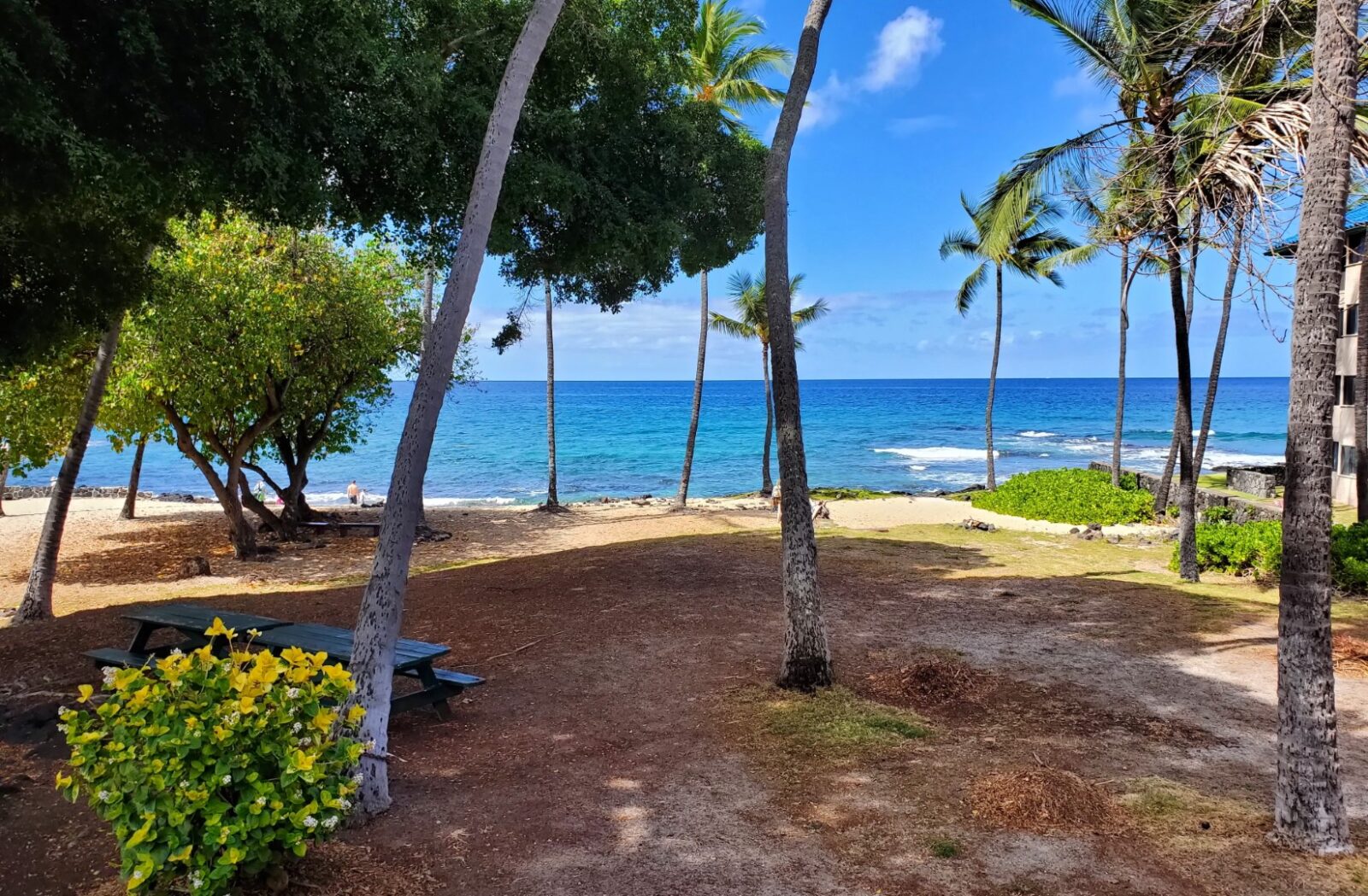 Honl's Beach, Kailua-Kona - Hawaii Beaches