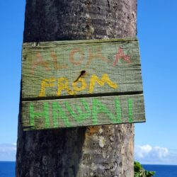 Honolii Beach Park, Hilo - Hawaii Beaches