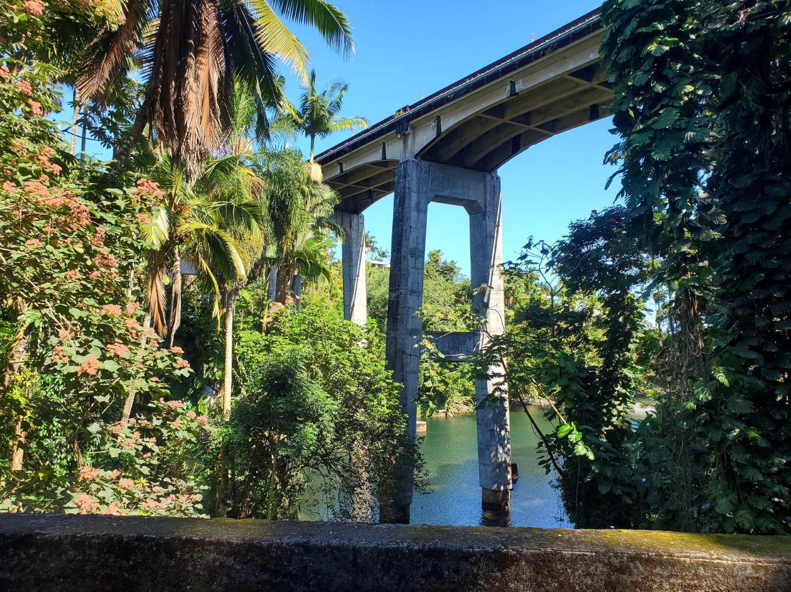 Honolii Beach Park, Hilo - Hawaii Beaches