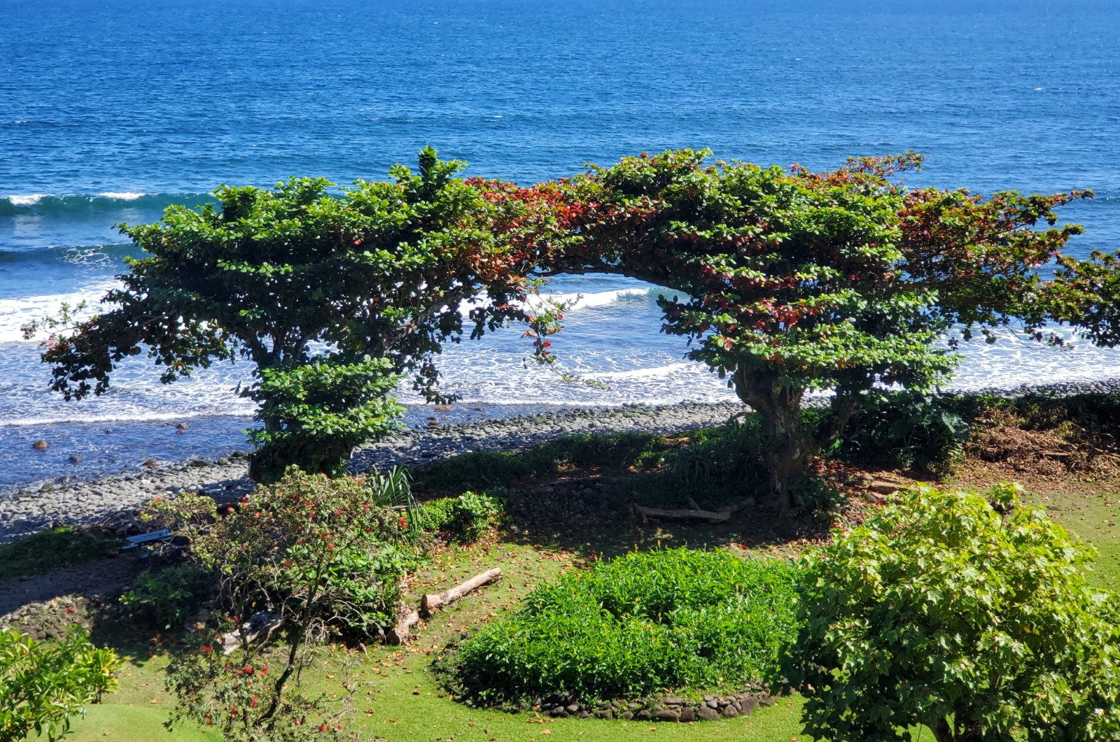 Honolii Beach Park, Hilo - Hawaii Beaches