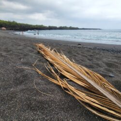 Honomalino Bay Beach, Captain Cook - Hawaii Beaches