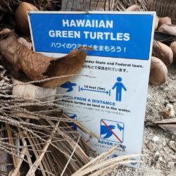 Honomalino Bay Beach, Captain Cook - Hawaii Beaches