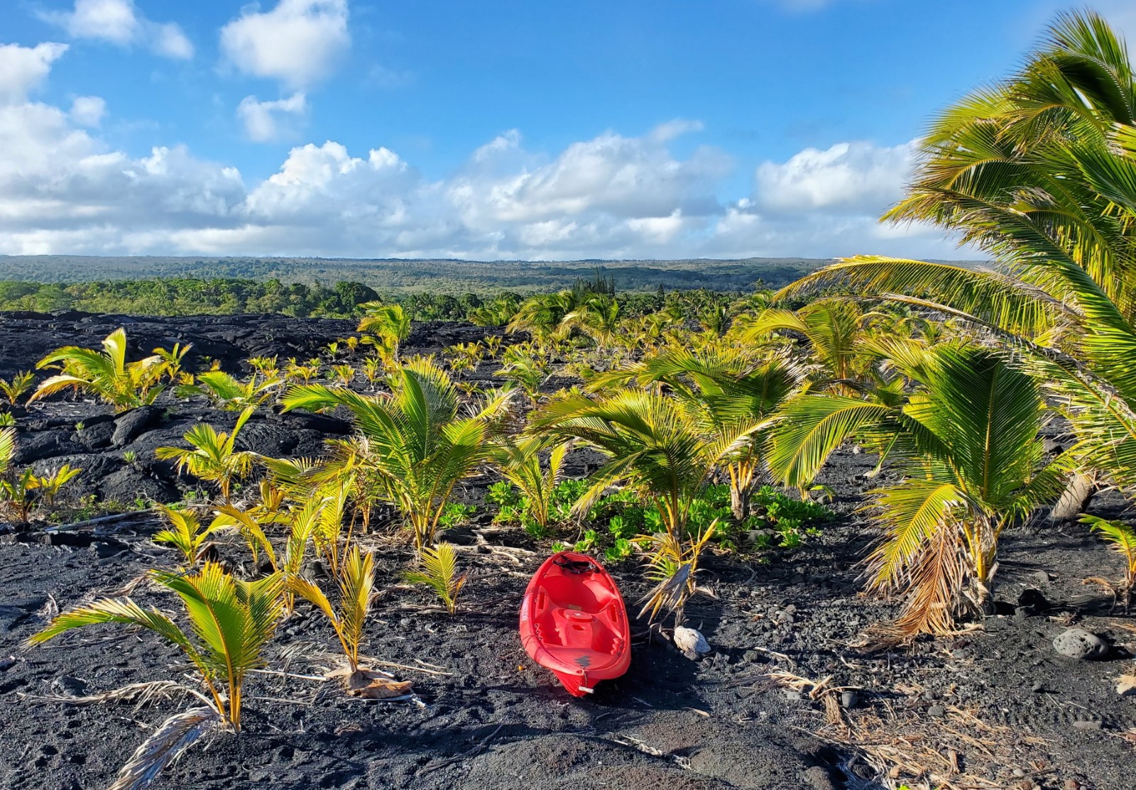 Kaimu Black Sand Beach, Pahoa - Hawaii Beaches