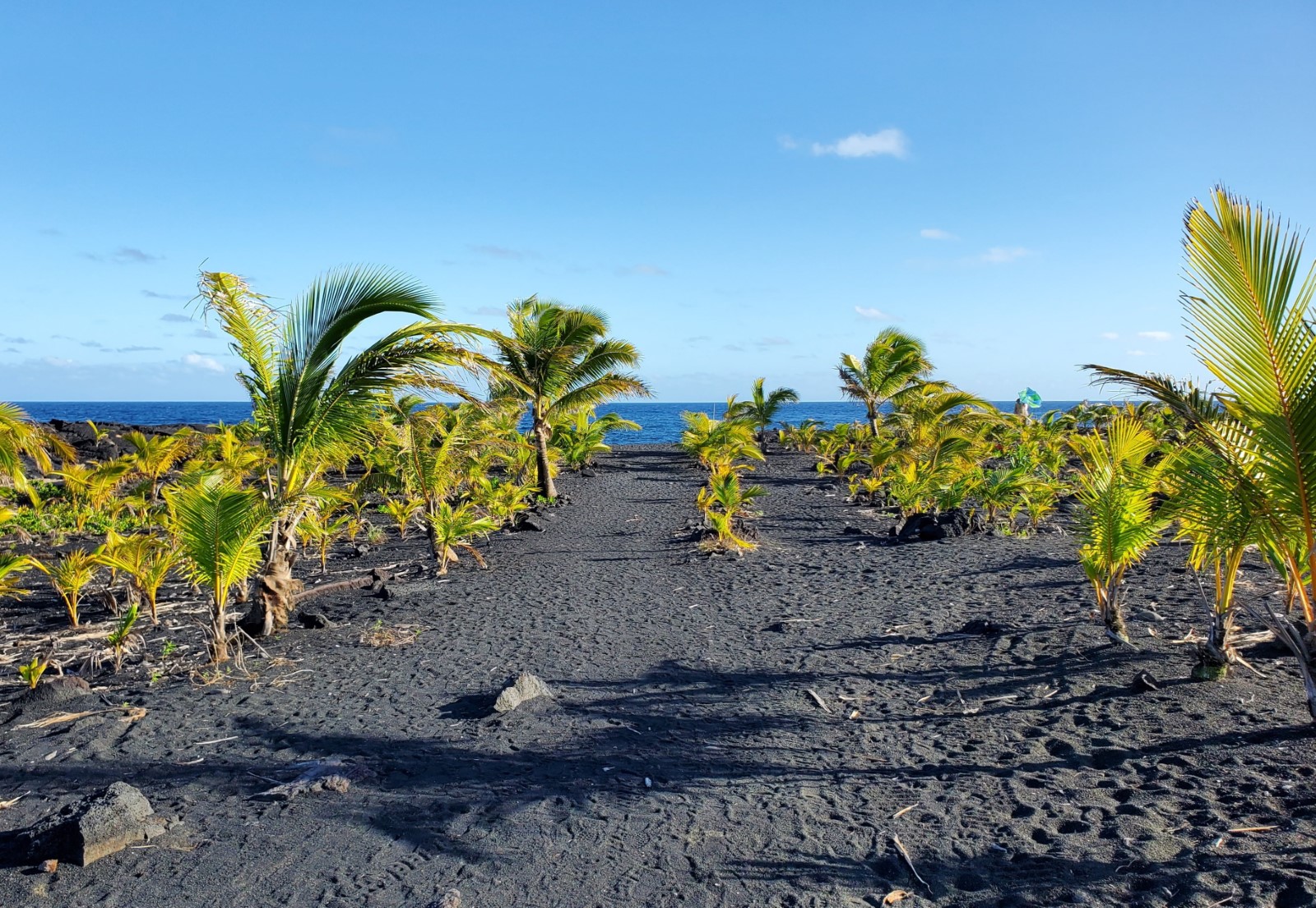 Kaimu Black Sand Beach, Pahoa - Hawaii Beaches