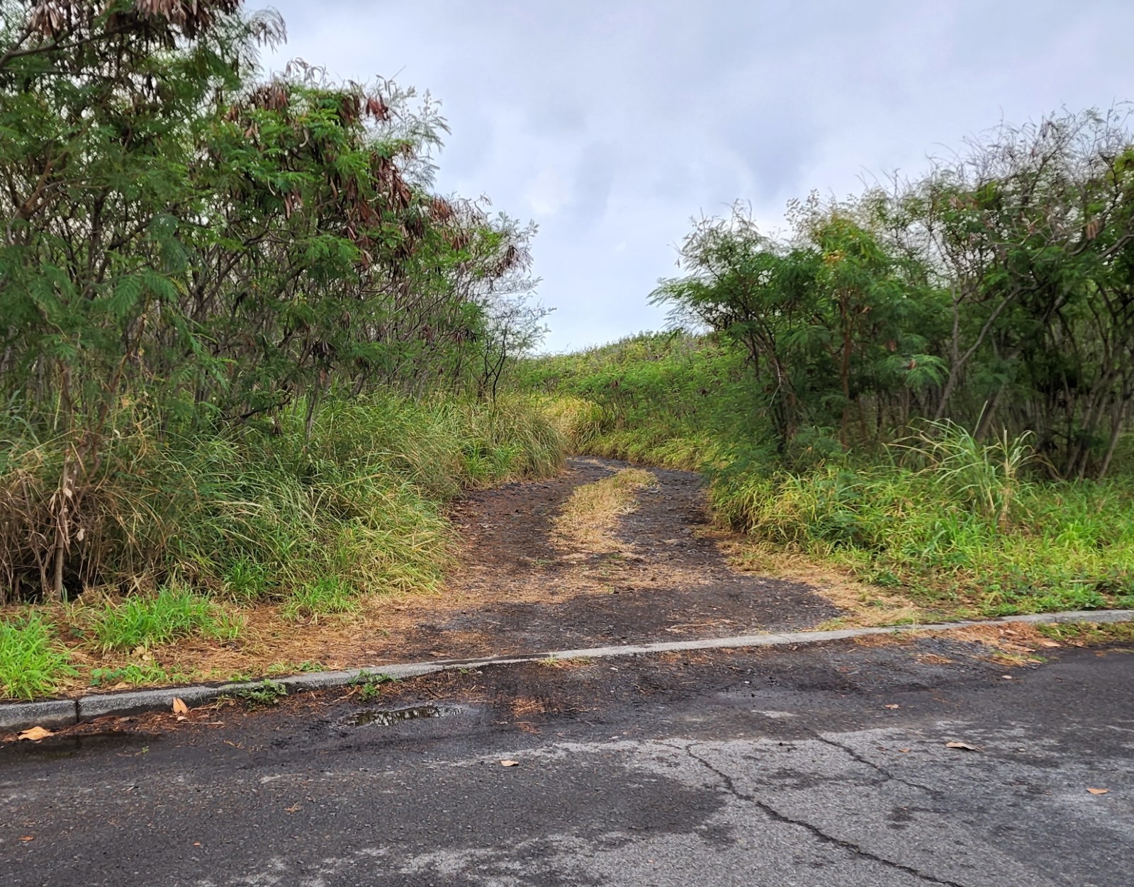 Koloa Beach, Pahala - Hawaii Beaches