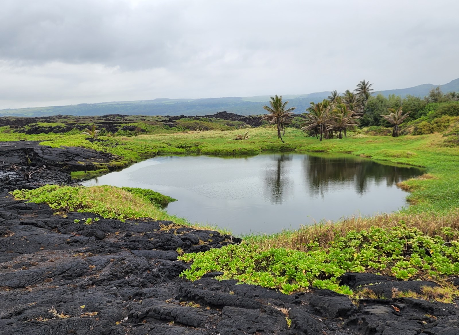 Koloa Beach, Pahala - Hawaii Beaches