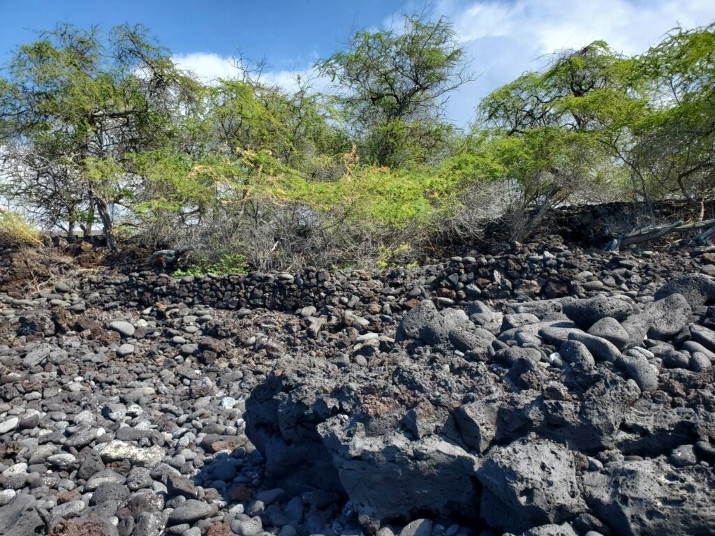 Papa Bay Shoreline Access, Captain Cook - Hawaii Beaches