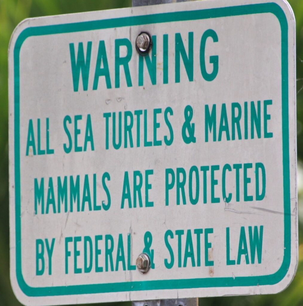 Two Step Beach on Honaunau Bay, Captain Cook - Hawaii Beaches