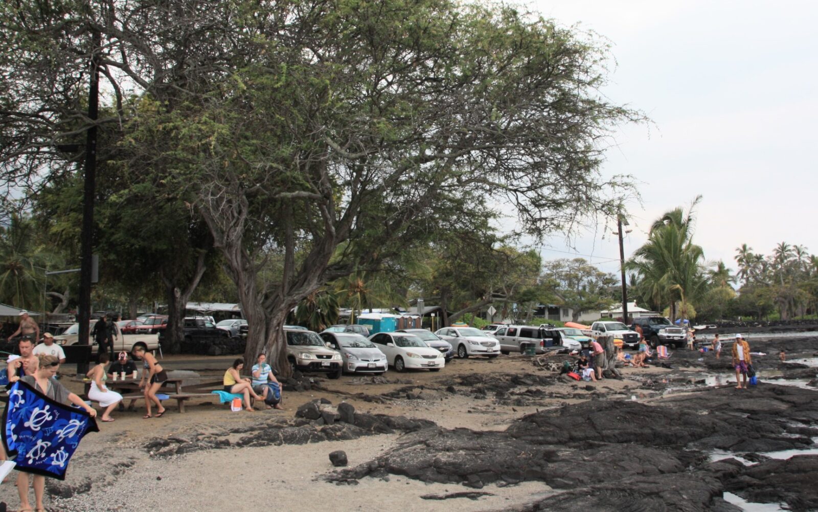 Two Step Beach on Honaunau Bay, Captain Cook - Hawaii Beaches