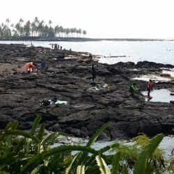 Two Step Beach on Honaunau Bay, Captain Cook - Hawaii Beaches