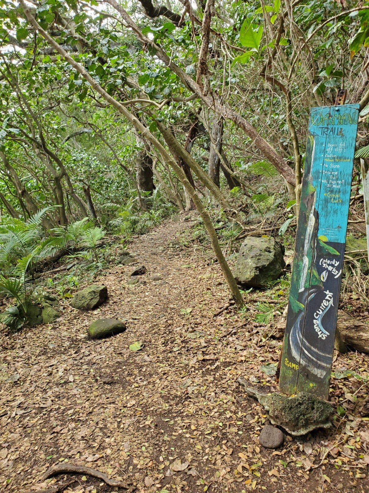 Waimanu Beach via the Muliwai Trail, Honokaa - Hawaii Beaches