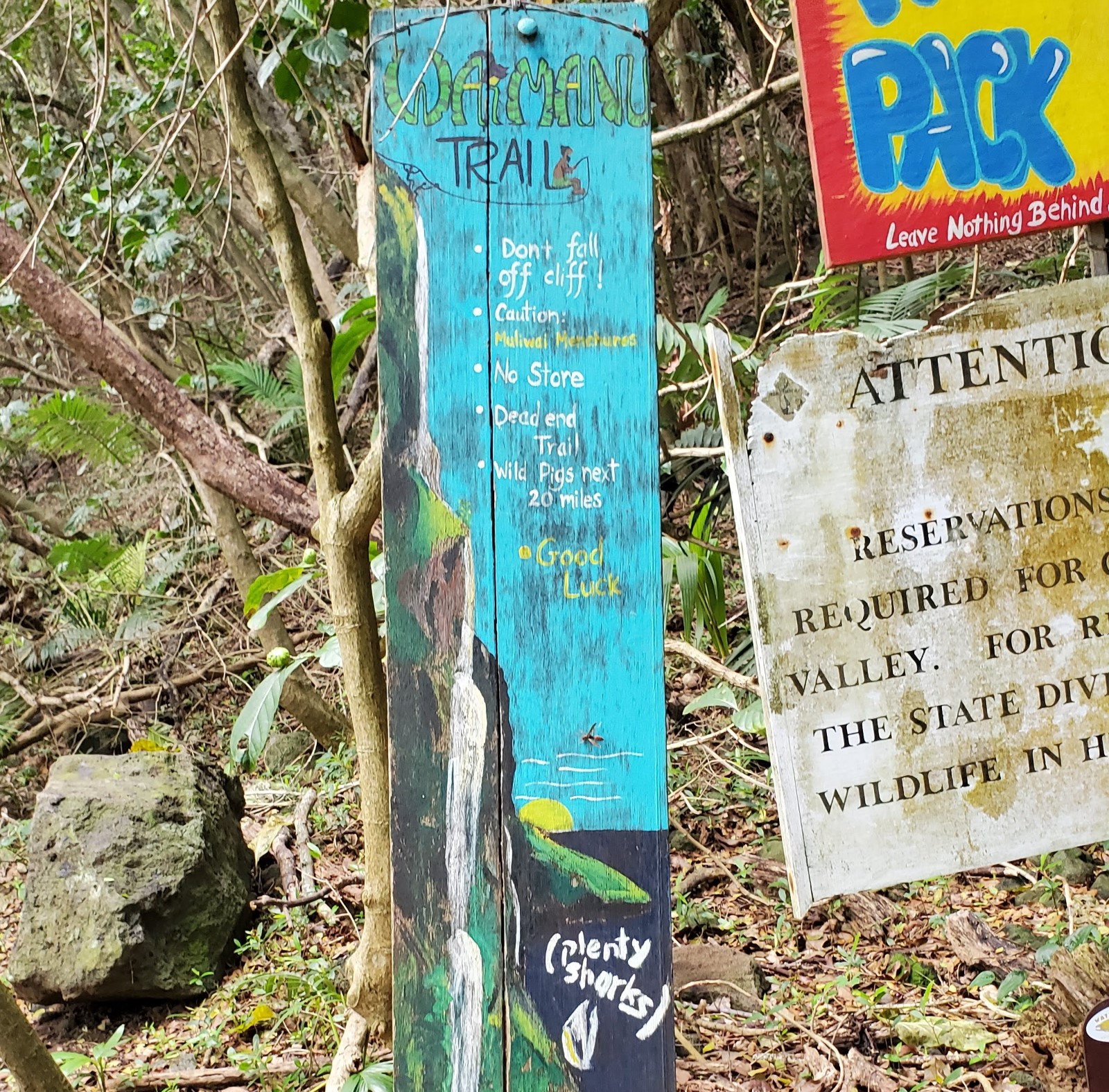 Waimanu Beach via the Muliwai Trail, Honokaa - Hawaii Beaches