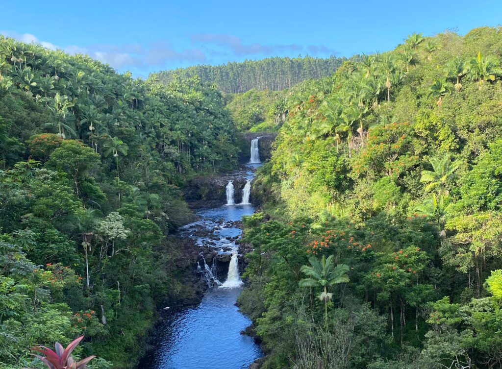 Attractions in Hilo - Hawaii Beaches